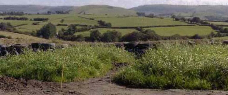 David Jarvis Associates